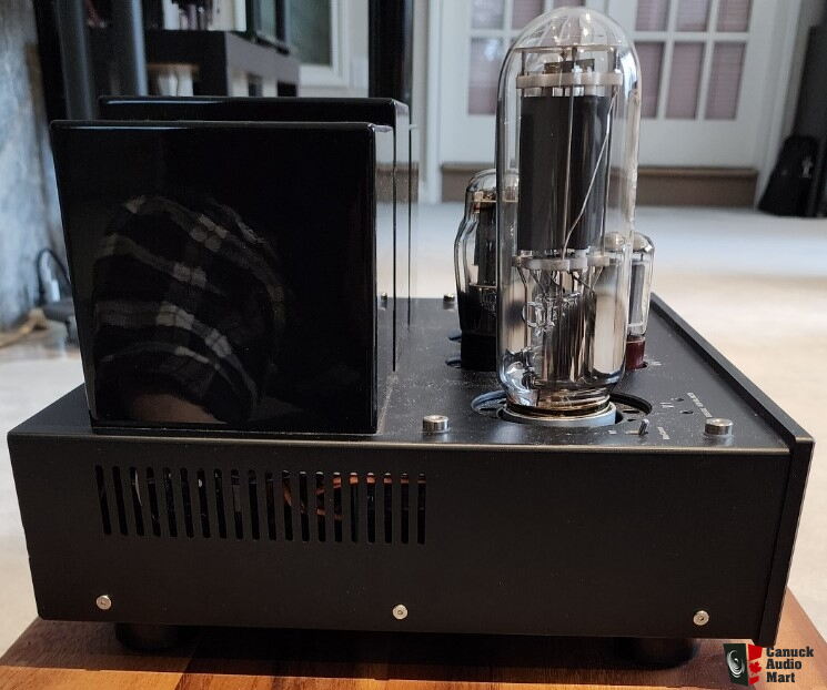 Line Magnetic LM-518iA Integrated Amp 845 Tubes Photo #5549810 - Canuck ...