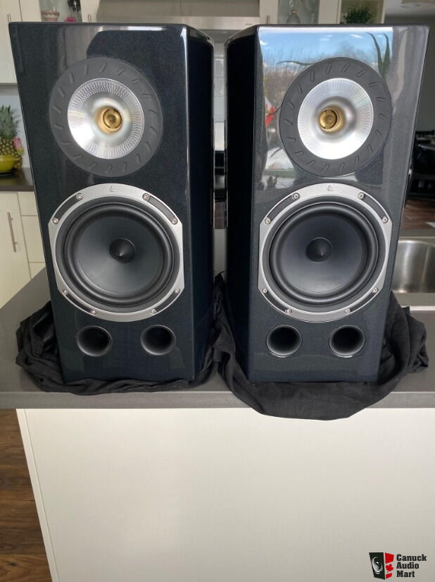 Triangle Magellan Duetto 40th Anniversary For Sale - US Audio Mart