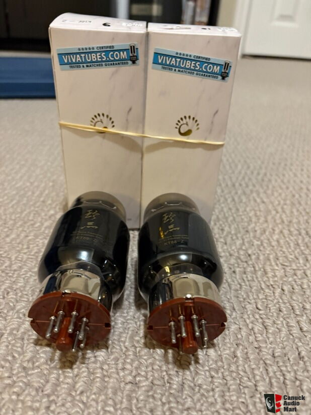 Pairs of Legendary Shuguang Treasure KT 88Z 50yr anniversary Vacuum ...