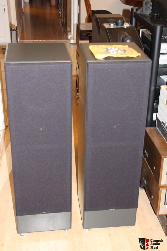 Tekton Lore Photo #5553017 - US Audio Mart