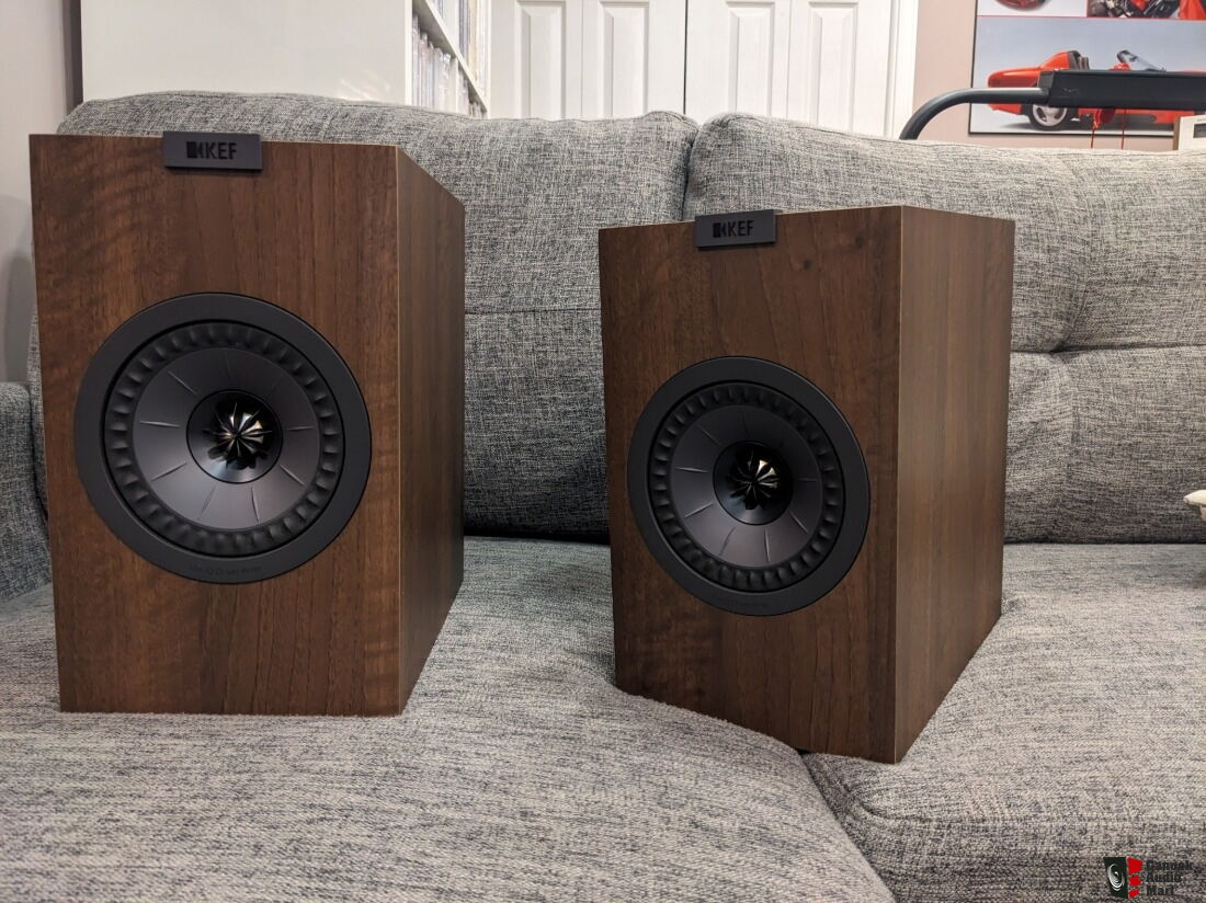 KEF Q150 in Walnut For Sale - Canuck Audio Mart