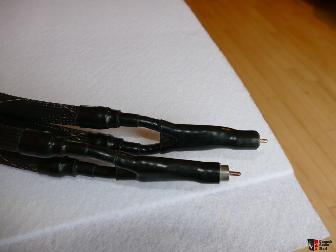 Yamamura Systems, model Quantum, RCA one meter pair Photo #5558001 ...
