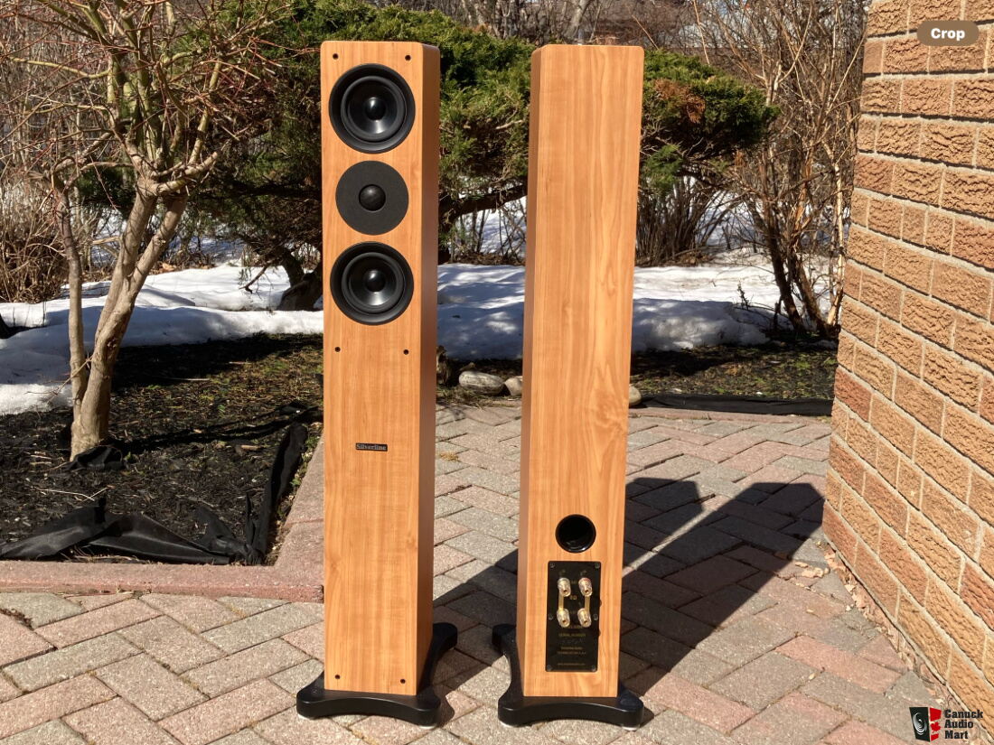 Silverline Prelude V2 Photo #5559665 - Canuck Audio Mart