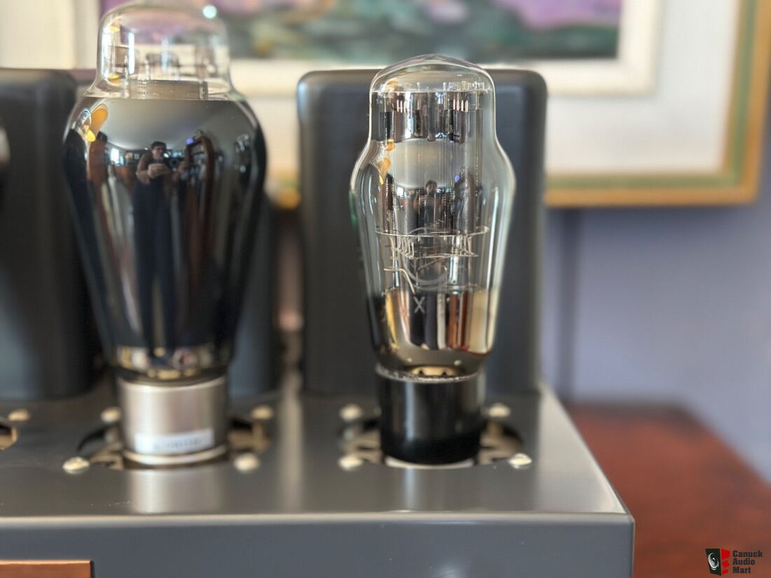 SUN AUDIO SV-300BE Single Ended Tube Amplifier Photo #5563424 - US ...