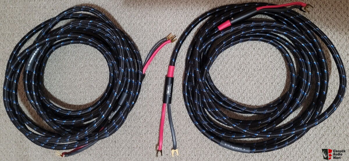 DH Labs Q-10 Signature speaker cables - 22-foot length - spade ...