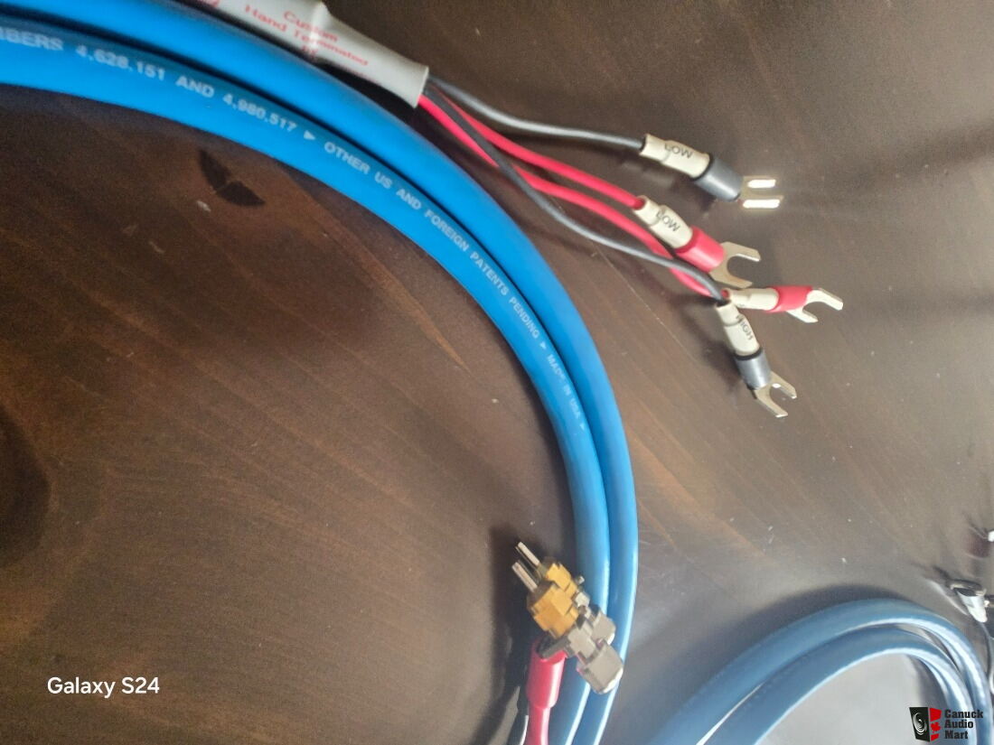 Cardas QUADLINK 5C Speaker Cables Photo #5572829 - Canuck Audio Mart