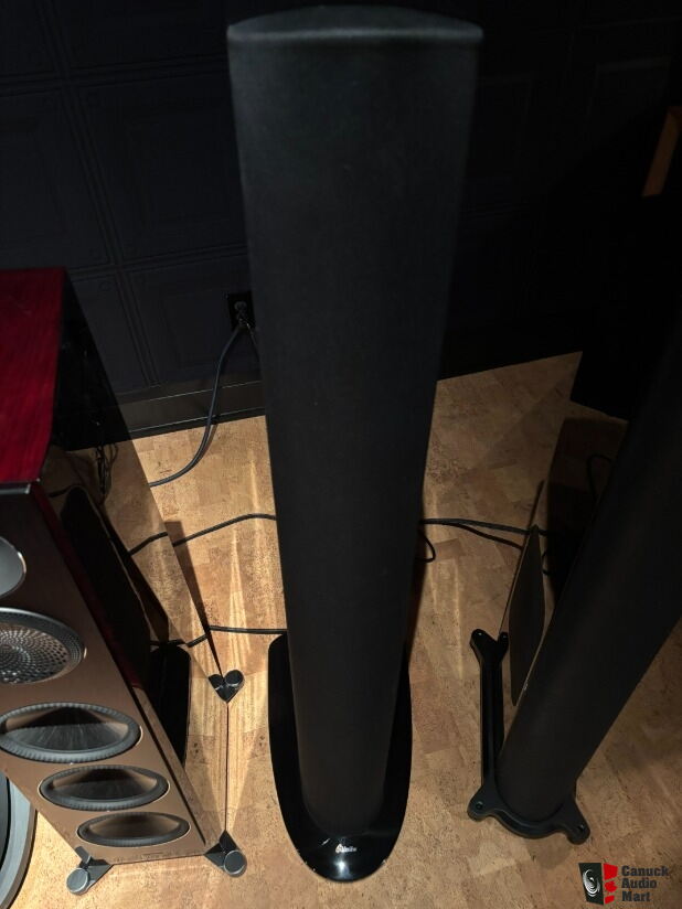 GoldenEar Triton Reference Floor Standing Speakers - DEMO PAIR - LAST ...