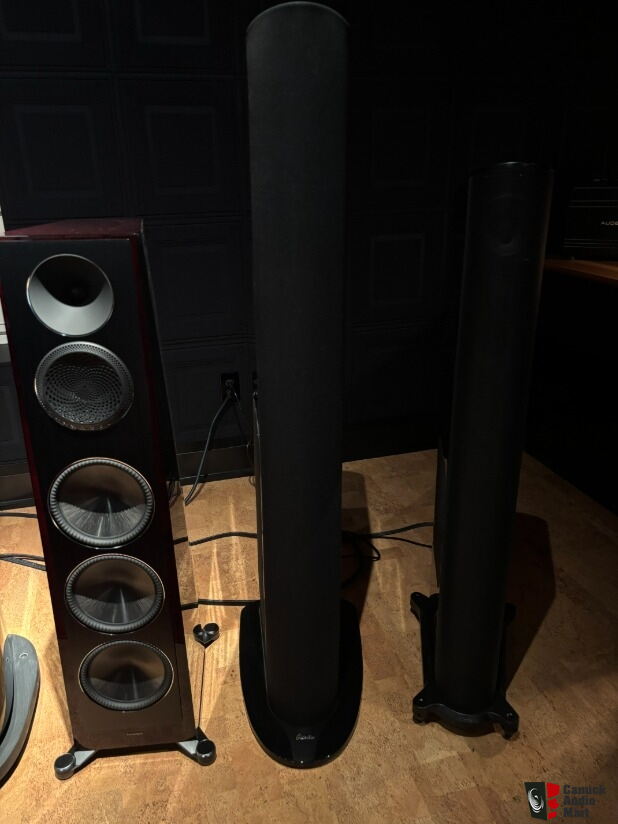 GoldenEar Triton Reference Floor Standing Speakers - DEMO PAIR - LAST ...