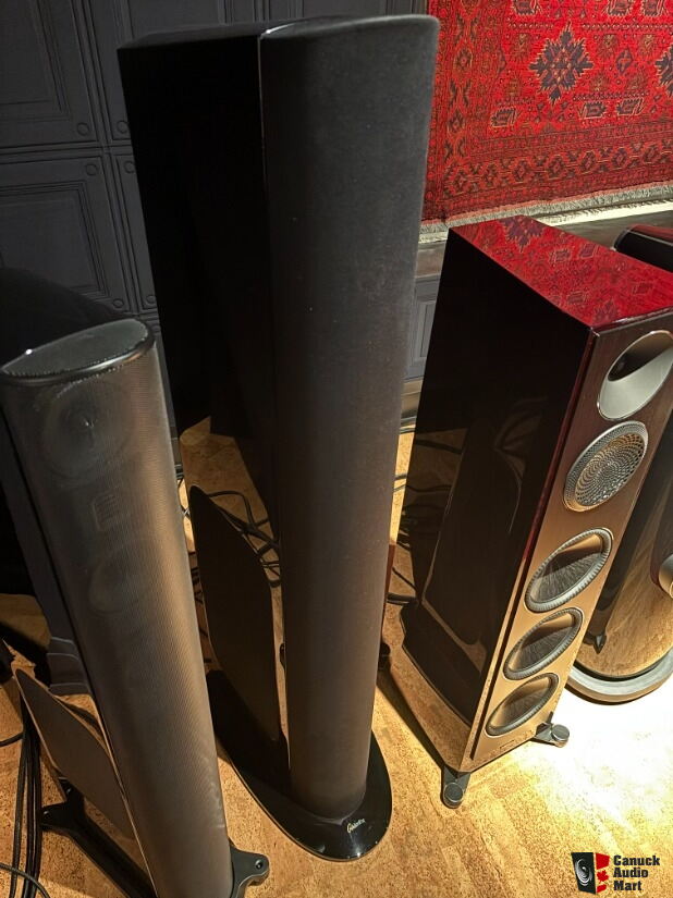GoldenEar Triton Reference Floor Standing Speakers - DEMO PAIR - LAST ...