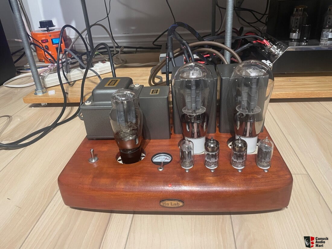 300B Single End Amp Photo #5574399 - Canuck Audio Mart