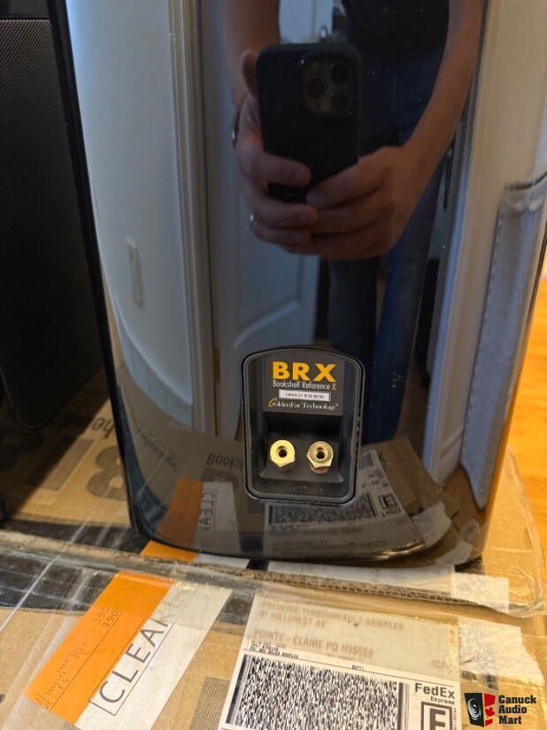 GoldenEar BRX - NEW PRICE Photo #5581599 - Canuck Audio Mart