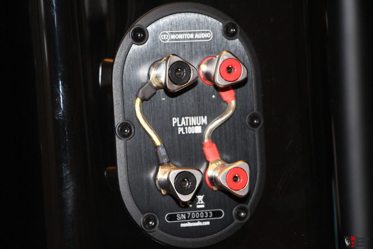Monitor Audio Platinum PL100 II, with stands Photo #5585283 - Canuck ...