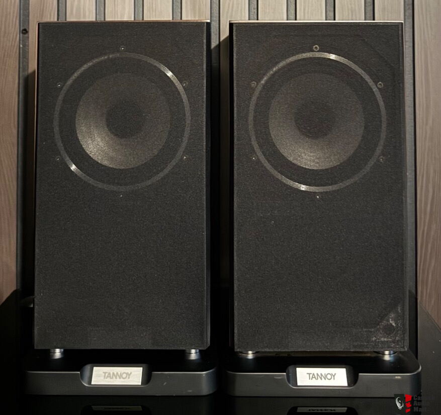 Tannoy XT6 Dual-Concentric Walnut Photo #5587000 - Canuck Audio Mart