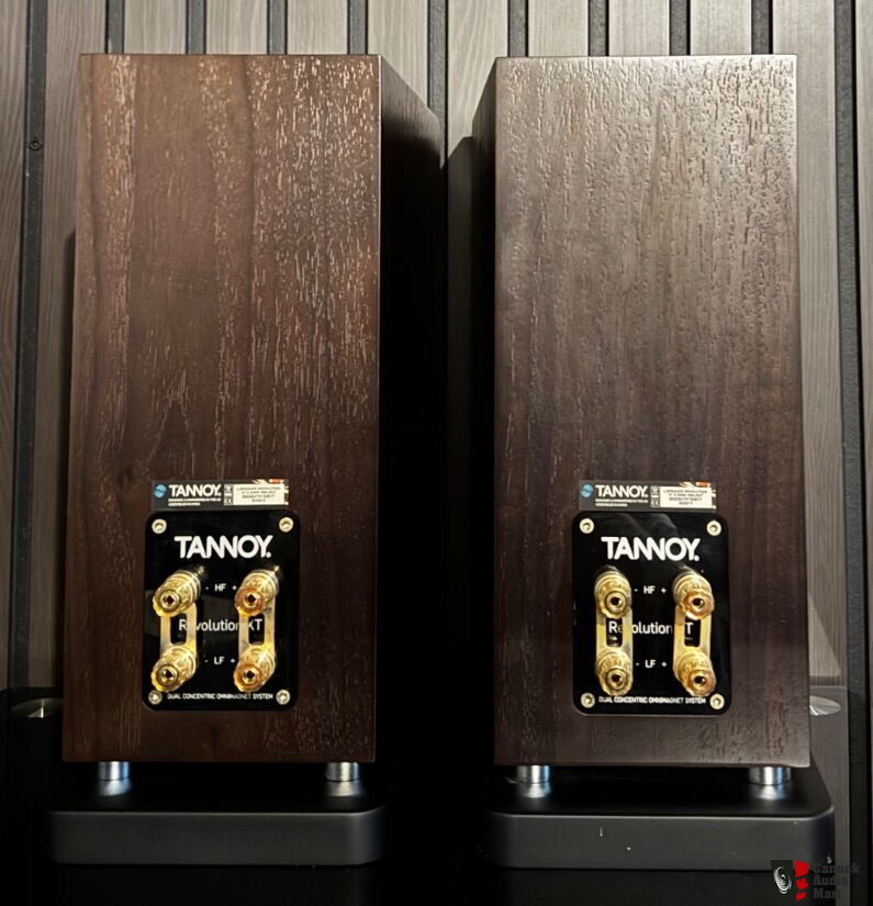 Tannoy XT6 Dual-Concentric Walnut Photo #5586998 - Canuck Audio Mart