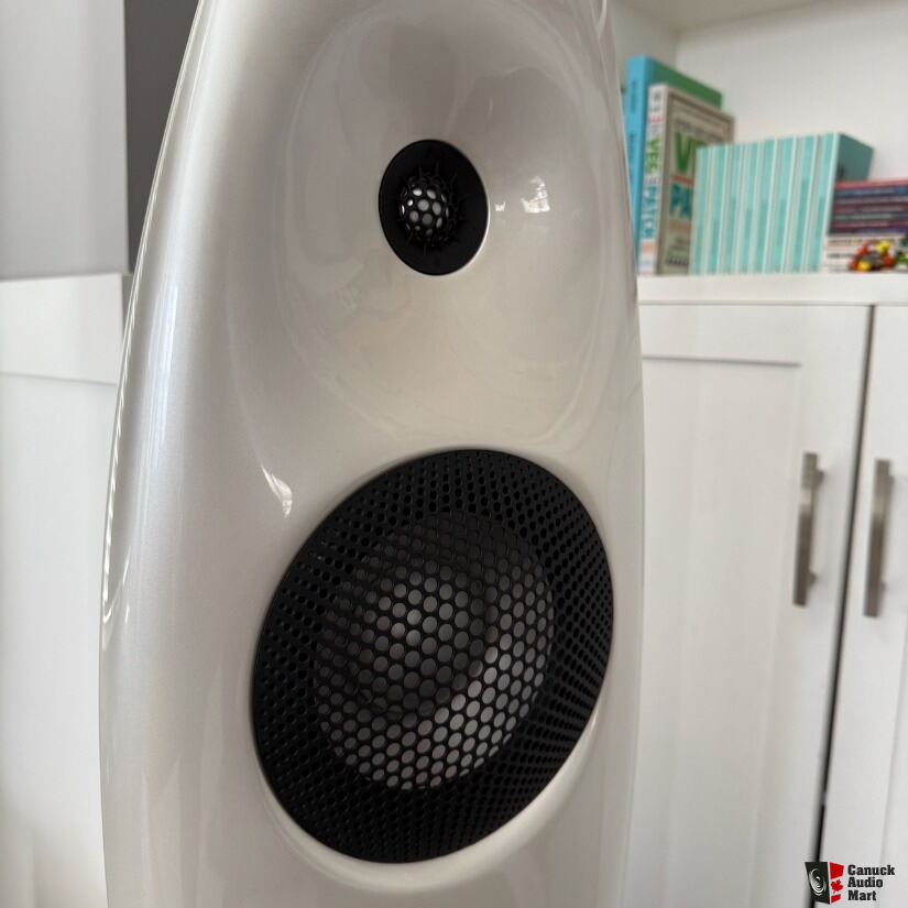 Vivid Audio Kaya 25 Floorstanding Loudspeakers Photo #5588206 - Canuck ...