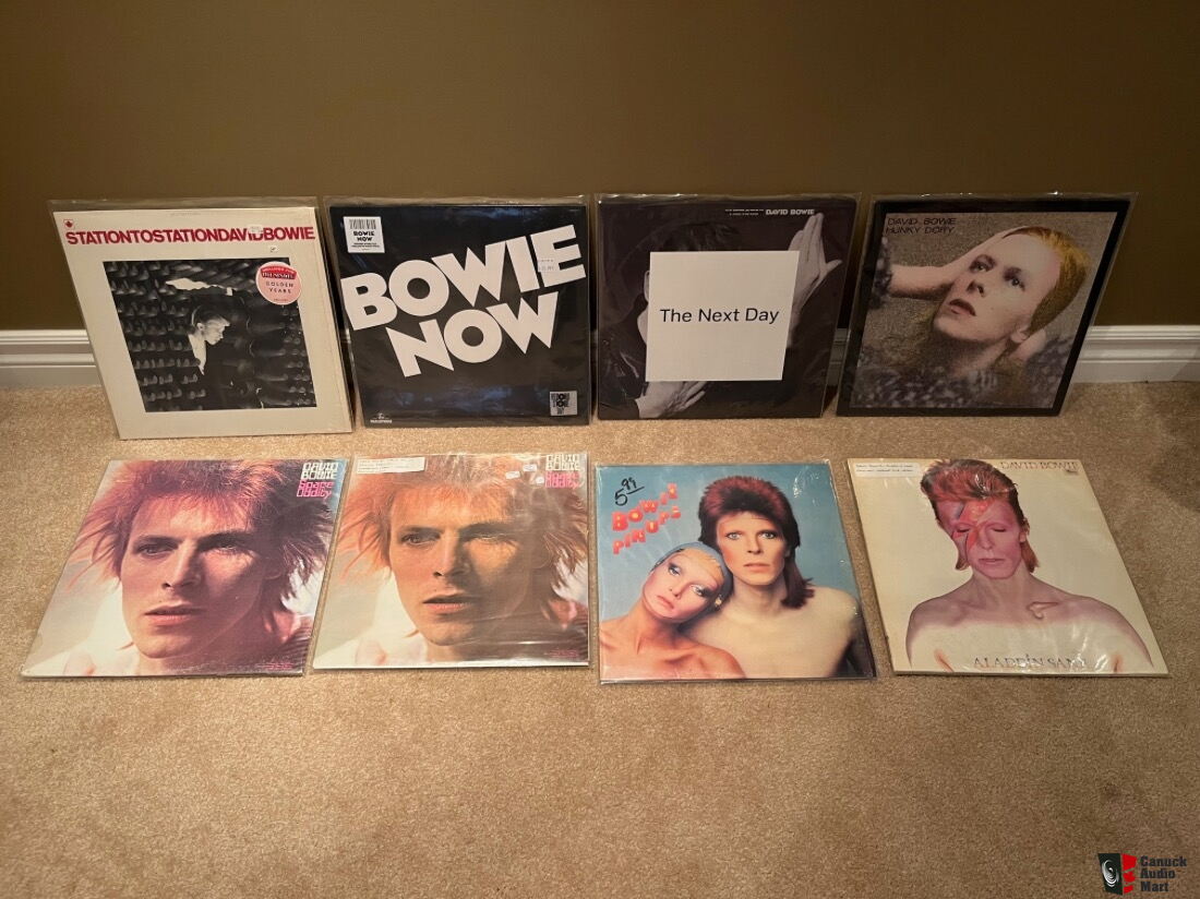 David Bowie LP Vinyl Record Collection Photo #5589993 - Canuck Audio Mart