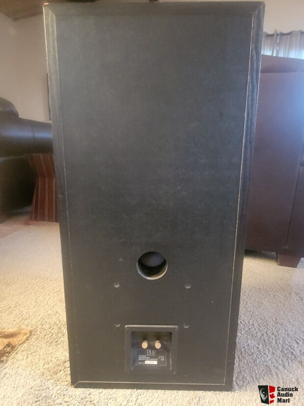 Celestion DL10 Floorstanding Speakers Photo #5598542 - US Audio Mart