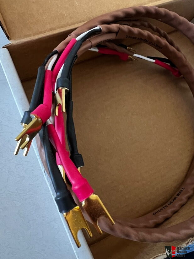 Wilson duette crossover cables. Near wall Photo #5600621 - Canuck Audio ...