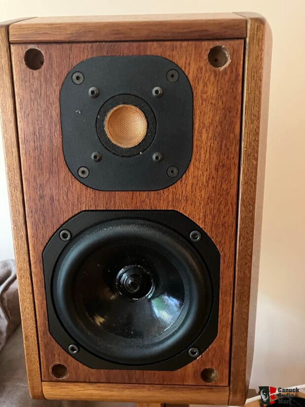 Opera Callas Gold speakers with stand Photo #5601655 - Canuck Audio Mart
