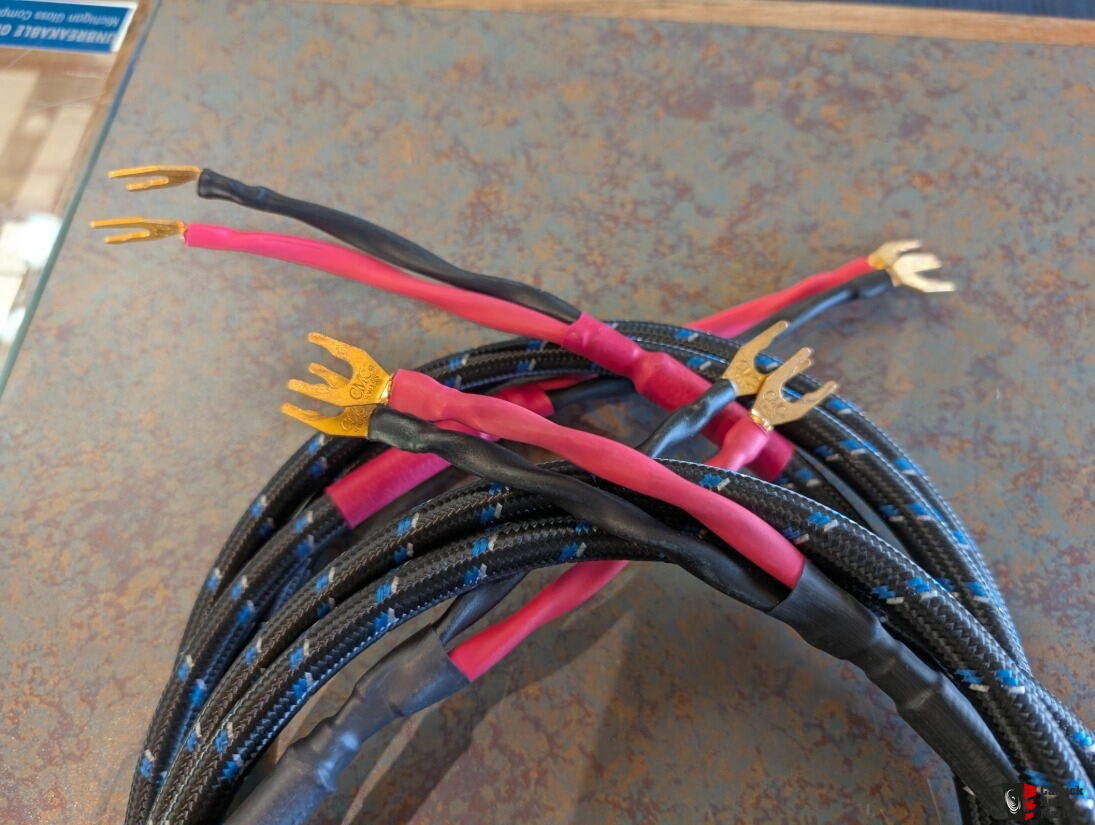 DH Labs Silversonic Q10 speaker cables 7ft pair with CMC Swiss Copper ...