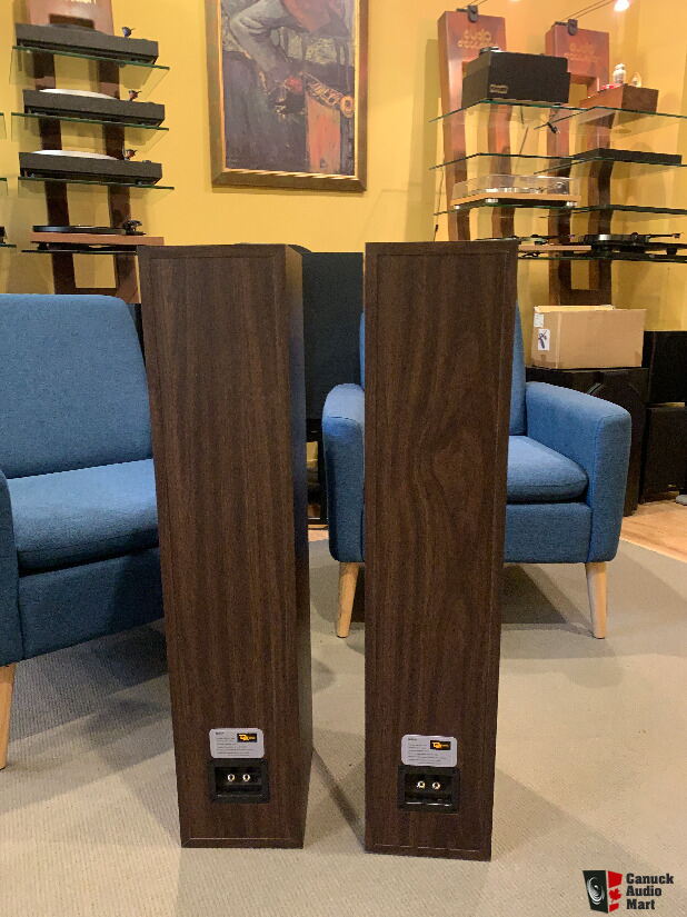 Davis Acoustics Maya Loudspeakers-Teak (Demo) Photo #5602795 - Canuck ...