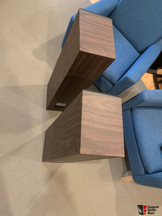 Davis Acoustics Maya Loudspeakers-Teak (Demo) Photo #5602793 - Canuck ...