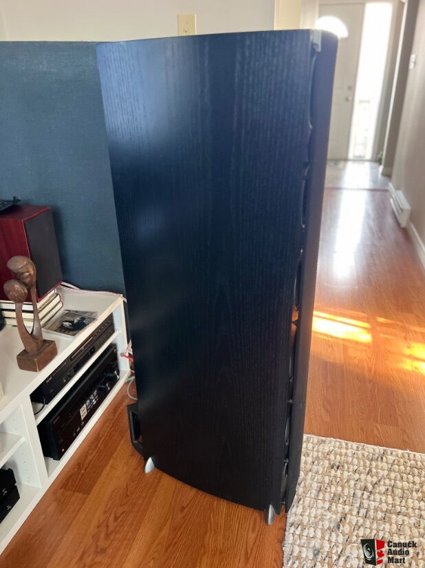 Polk Audio RTi A9 Floorstanding Speakers - Powerful, Elegant, and ...
