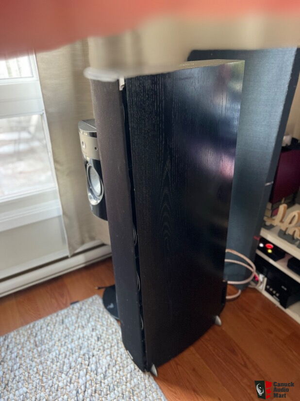 Polk Audio RTi A9 Floorstanding Speakers - Powerful, Elegant, and ...