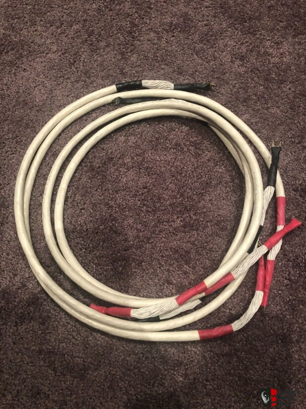 Meitner 4 feet speaker cables For Sale - Canuck Audio Mart