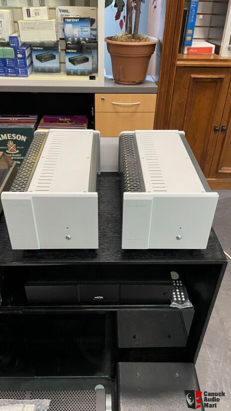 Boulder 850 Mono Bloc amps Photo #5612633 - US Audio Mart