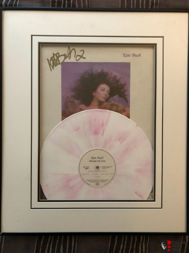 Kate Bush Hounds Of Love Album Cover (Card) Autographed & Framed with ...