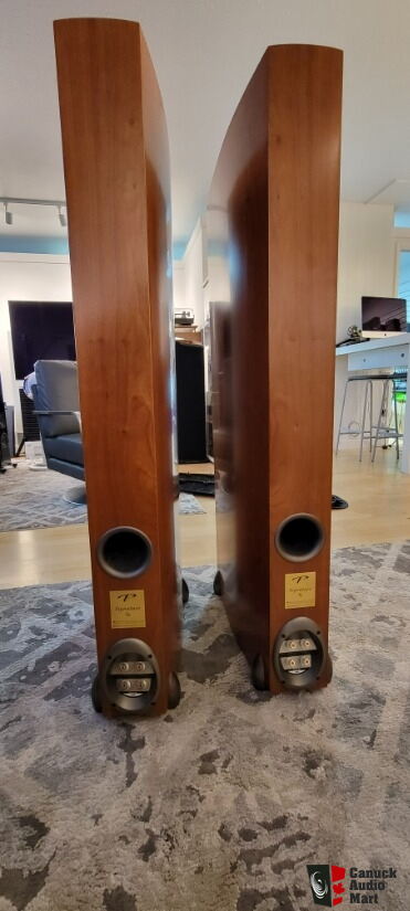 Paradigm Signature 8 V1 Dealer Ad - US Audio Mart