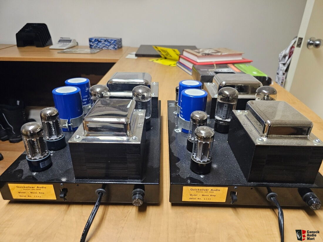 Quicksilver mono blocks Photo #5620385 - Canuck Audio Mart