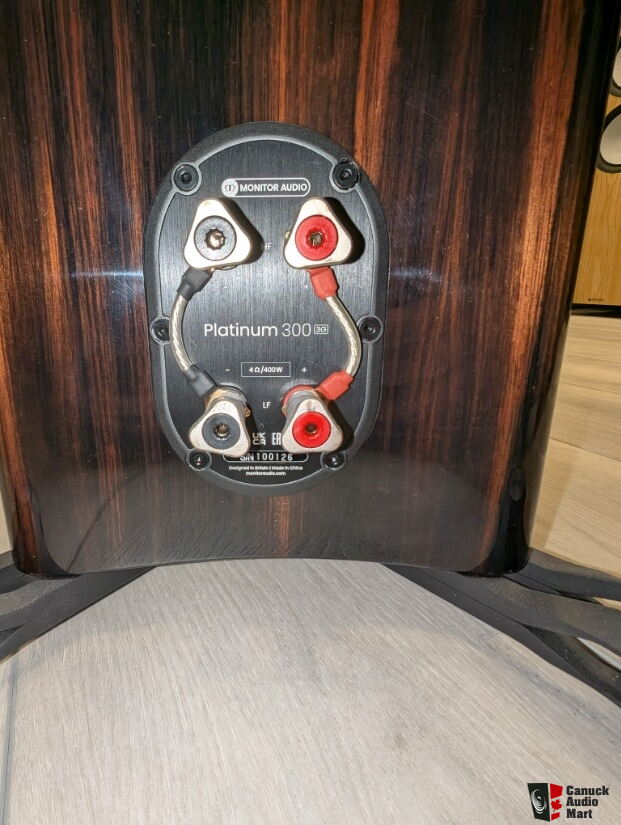 Monitor Audio Platinum 300 3G Photo #5621128 - US Audio Mart