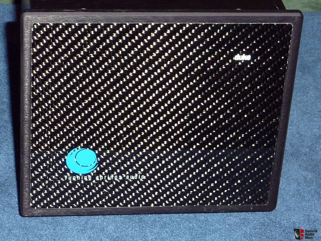 Running Springs Audio HZ Crown Jewel 8 foot C19 power cable with $2500 ...