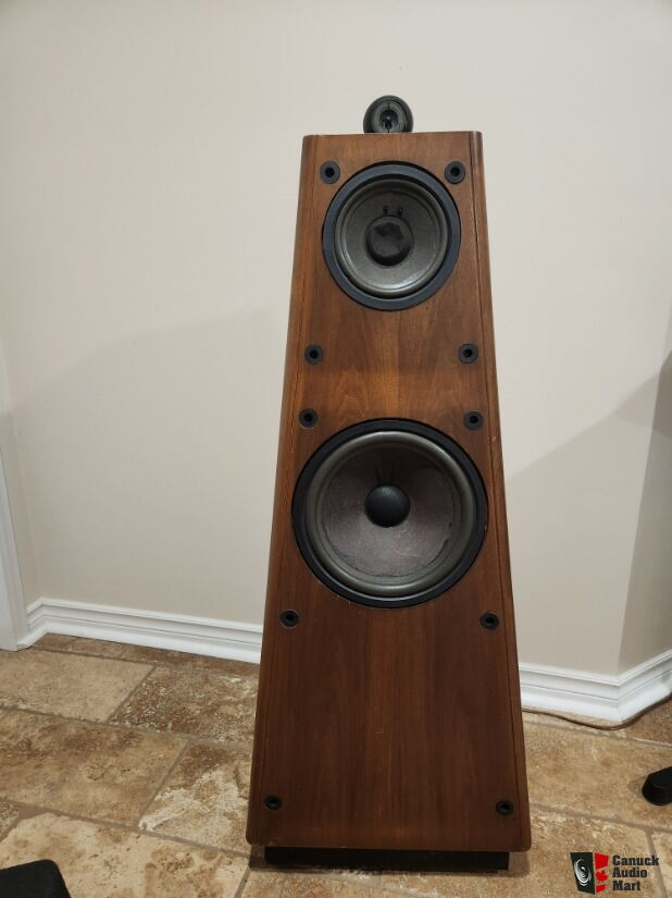 Epicure 3.0 tower speakers Photo #5635728 - Canuck Audio Mart
