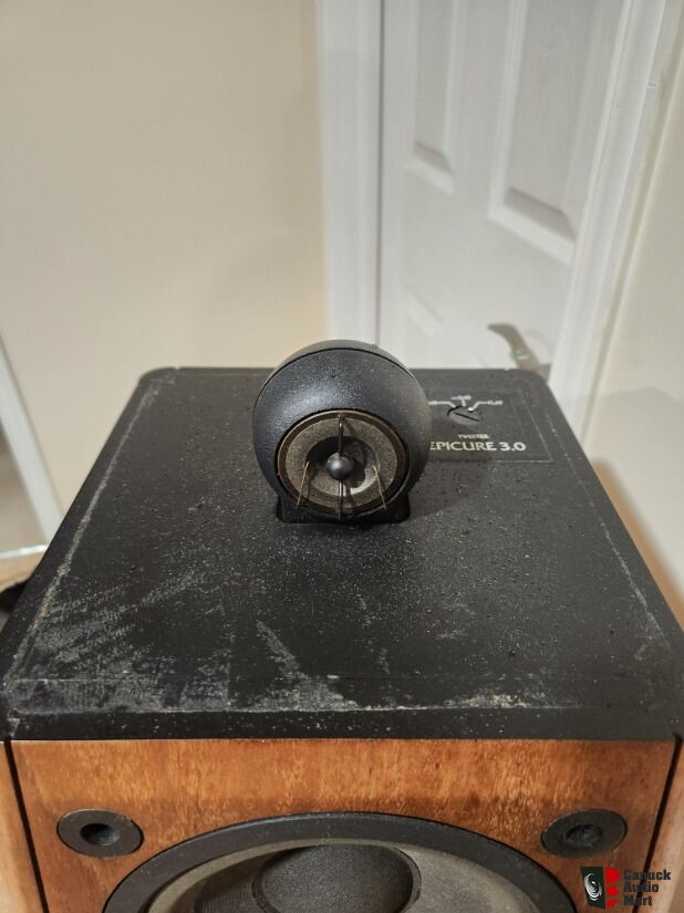 Epicure 3.0 tower speakers Photo #5635728 - Canuck Audio Mart