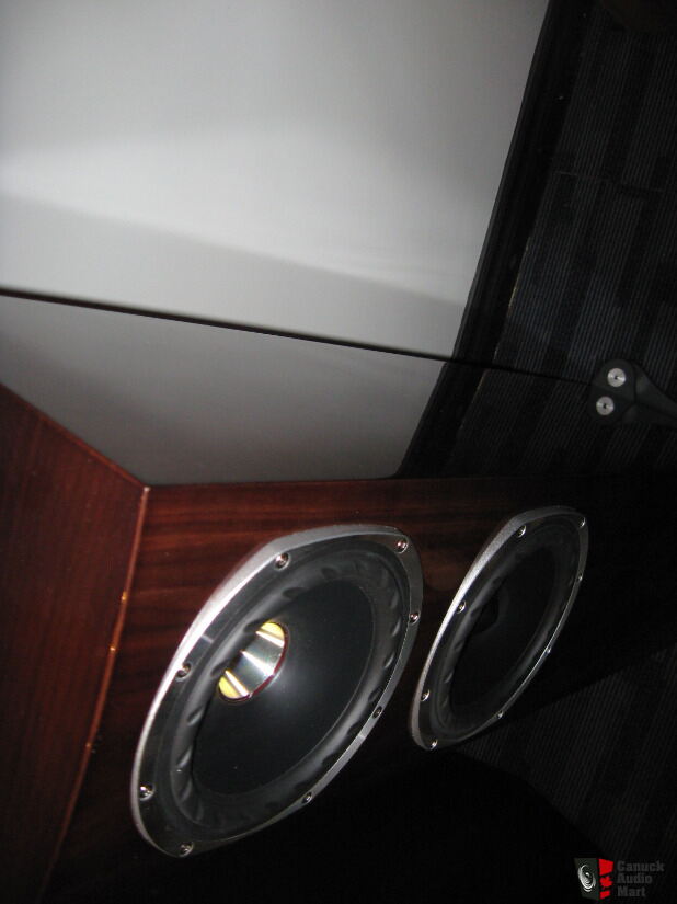 Fyne F501 SP Photo #5636180 - Canuck Audio Mart