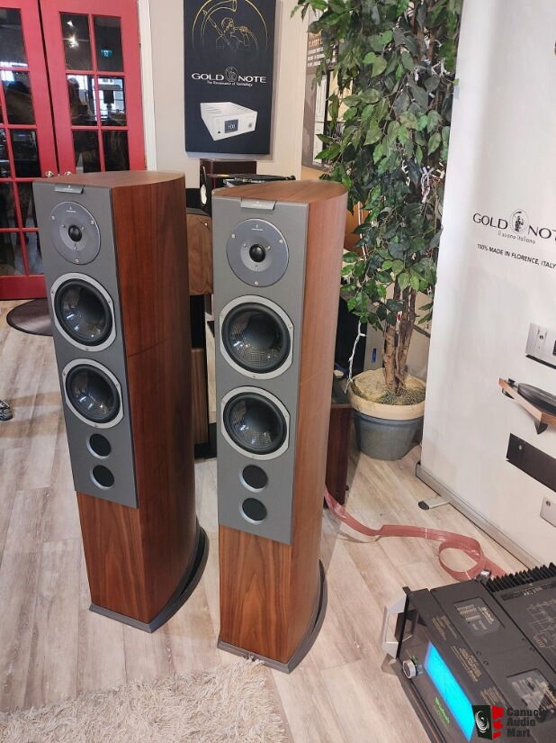CONSIGNMENT-Audiovector R6Signatures Photo #5636306 - Canuck Audio Mart