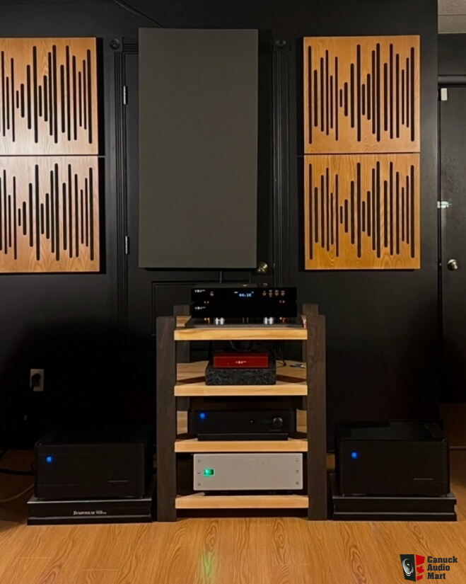PS Audio BHK300 mono blocks - excellent Photo #5653338 - Canuck Audio Mart