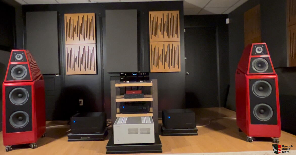 PS Audio BHK300 mono blocks - excellent Photo #5653338 - Canuck Audio Mart