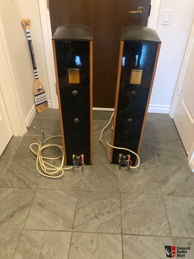 Energy Veritas V2.3i Audiophile Floorstanding Speakers - Premium ...