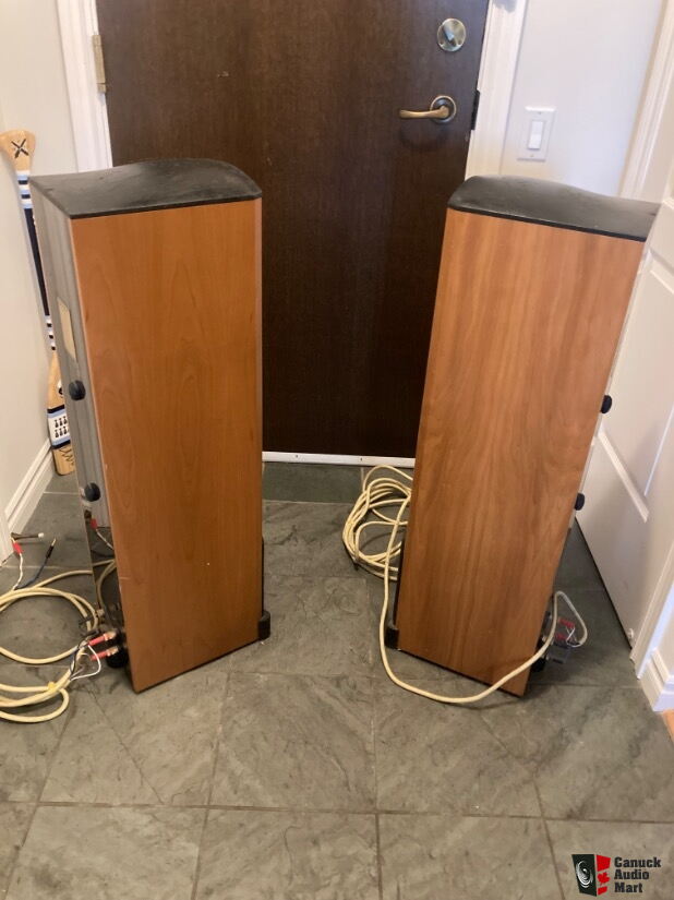 Energy Veritas V2.3i Audiophile Floorstanding Speakers - Premium ...