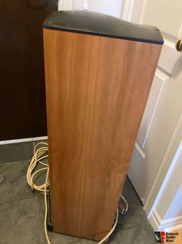 Energy Veritas V2.3i Audiophile Floorstanding Speakers - Premium ...