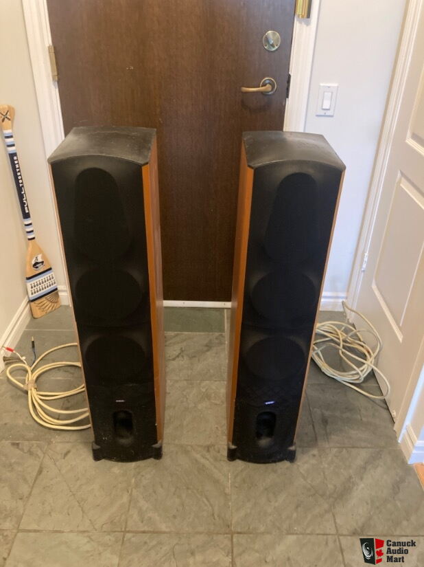 Energy Veritas V2.3i Audiophile Floorstanding Speakers - Premium ...