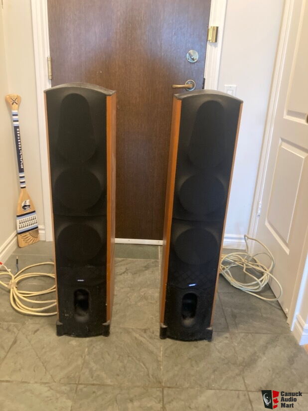 Energy Veritas V2.3i Audiophile Floorstanding Speakers - Premium ...