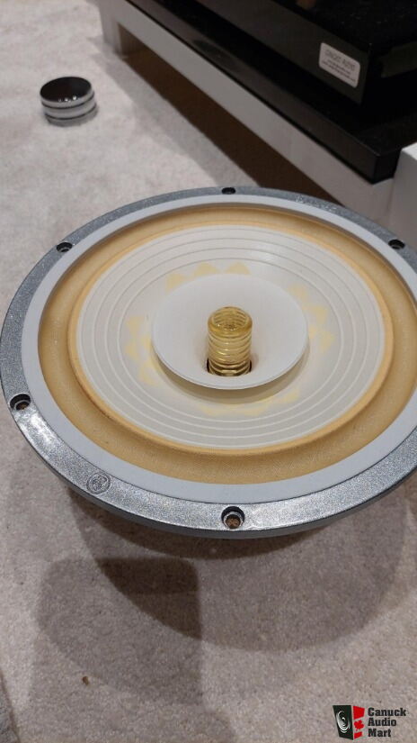 Lii Audio Crystal-10 Full Range Speaker Drivers For Sale - Canuck Audio ...