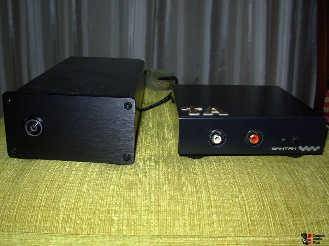 Temple Audio UK amplifier Bantam Stealth with upgrade LPS For Sale ...