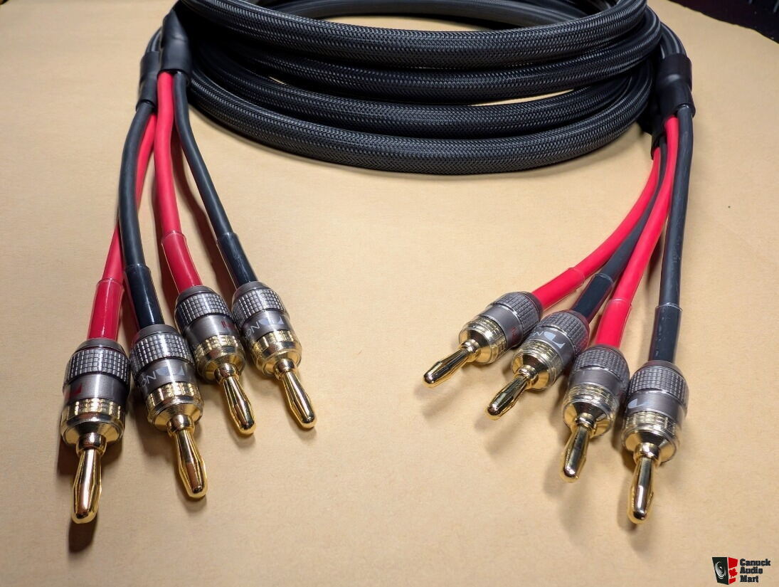 10AWG tip-to-tip Pure Copper Speaker Cables w/ OFC cables and Nakamichi ...