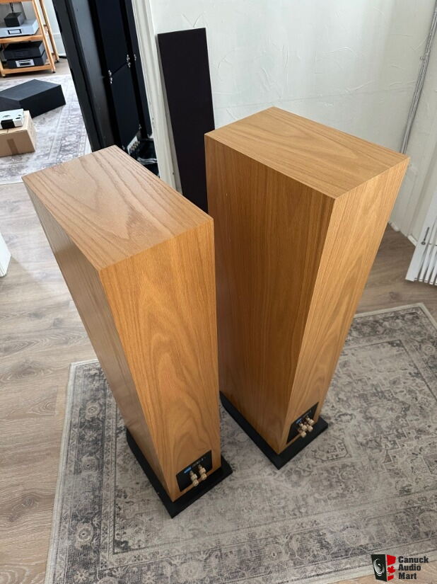 PMC Twenty 24 Oak Photo #5670046 - Canuck Audio Mart